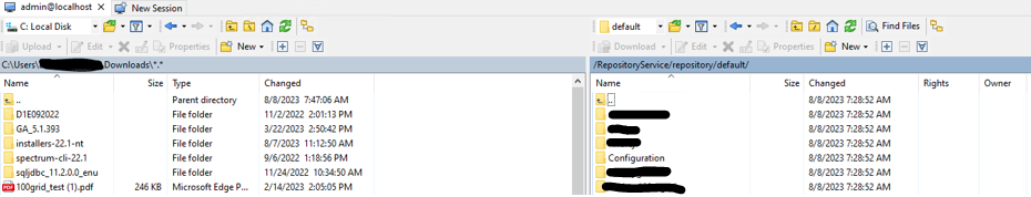 How to use the WebDav to access the file in Spatial Repository