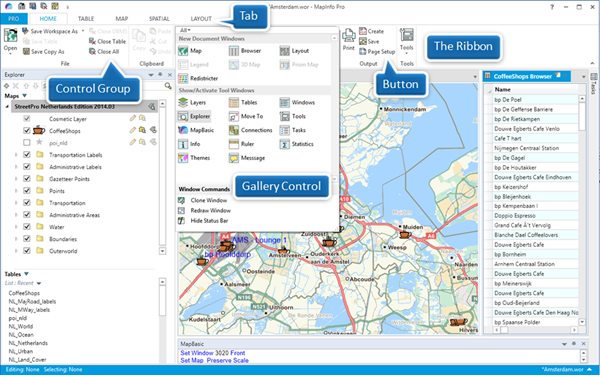 Customize the User Interface in MapInfo Pro