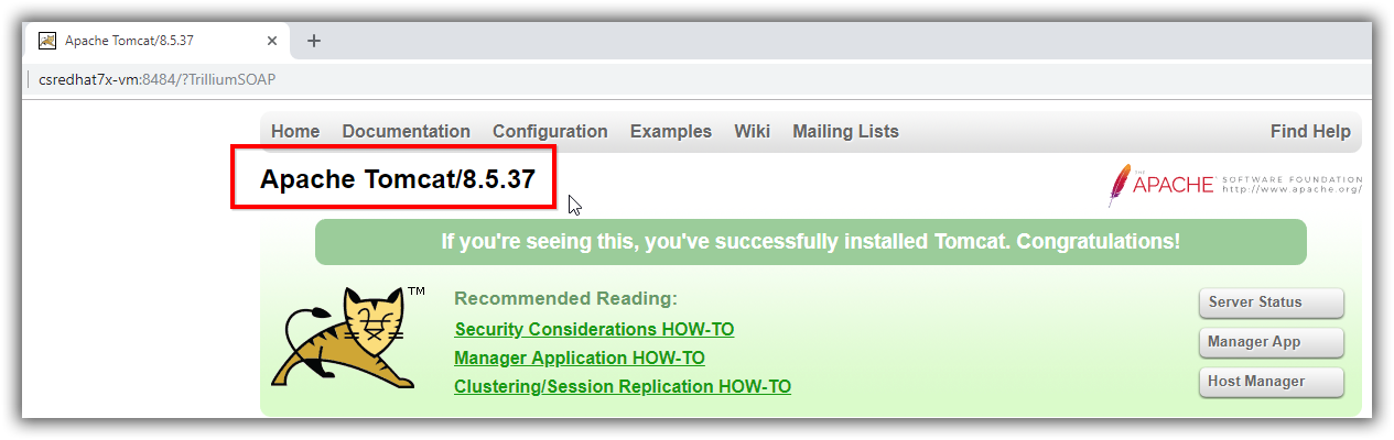 Trillium TSI - Updating Apache Tomcat on Windows