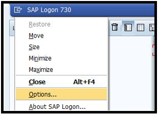 Automate - SAP Logon Error: Start SAPGUI Failed